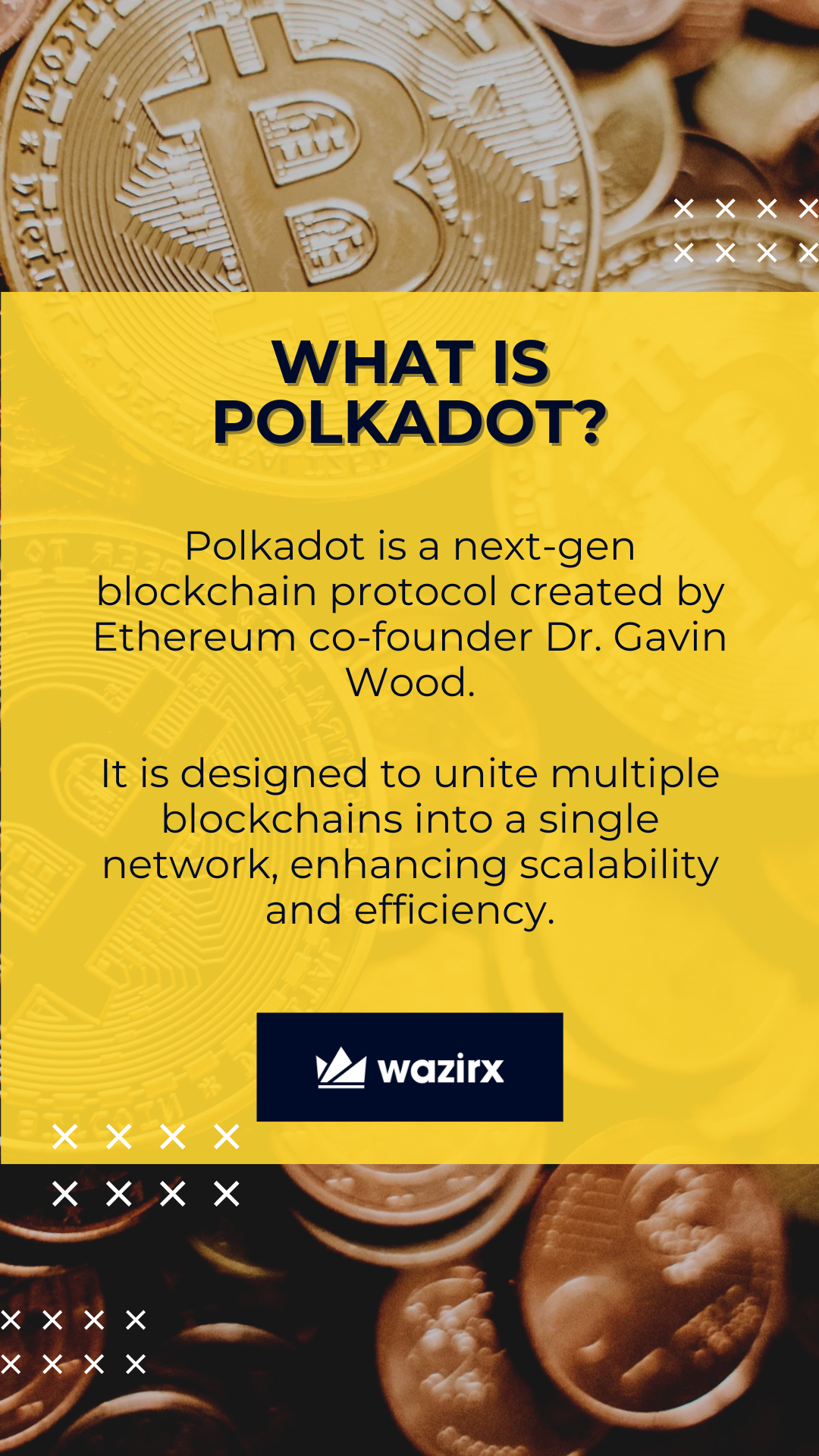 Polkadot 101: Understanding the Basics - WazirX Blog