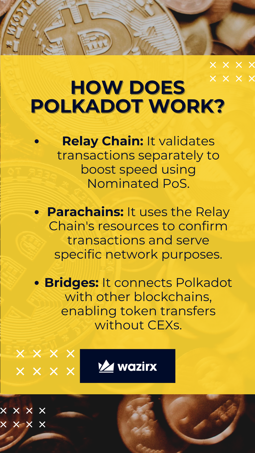 Polkadot 101: Understanding the Basics - WazirX Blog