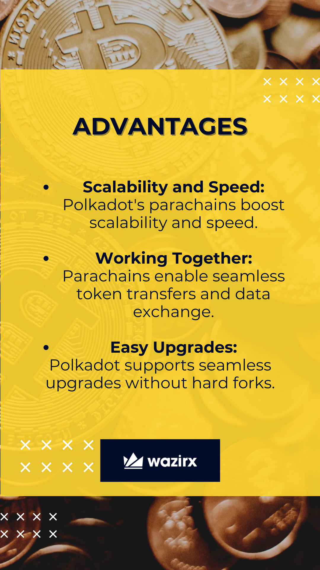 Polkadot 101: Understanding the Basics - WazirX Blog